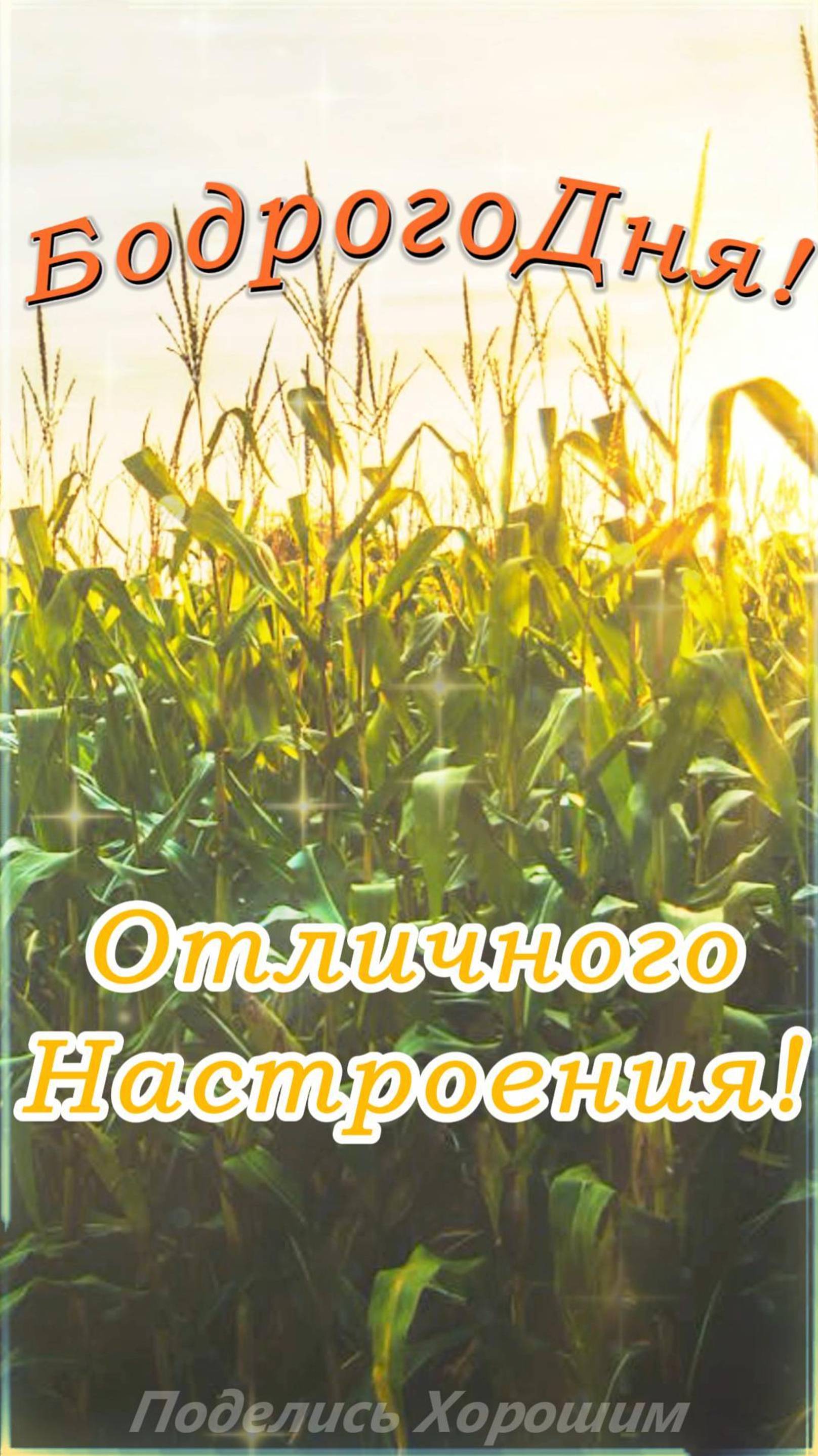 Бодрого Дня! Отличного Настроения!