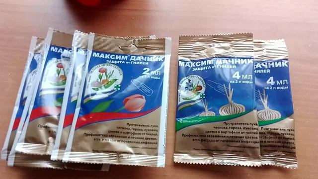 40. 5 апреля 2023 г. -Максим дачник-. Рассеял овёс и горчицу. Листва клубники. Домой на велике.