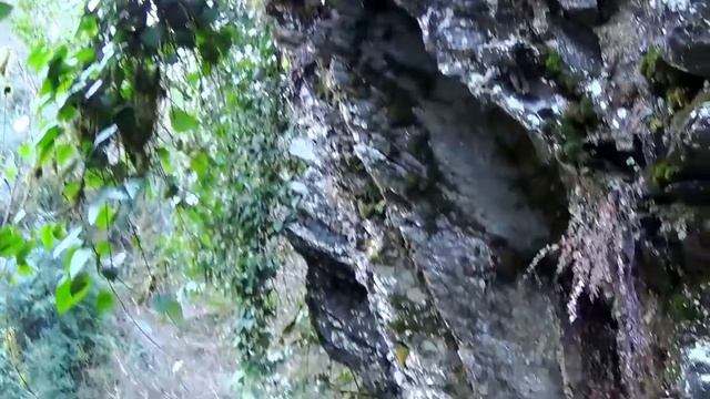 2017_01_23_Прогулка к ручью Сванидзе, Сочи.mp4