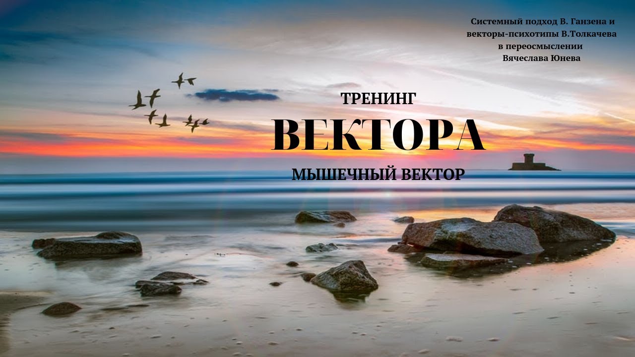 Занятие 7. Мышечный вектор. Тренинг  Вектора. Проект Вячеслава Юнева.mp4