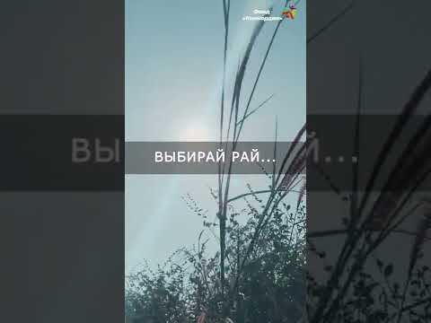 Где ты будешь вечность проводить? Часть 19#shorts