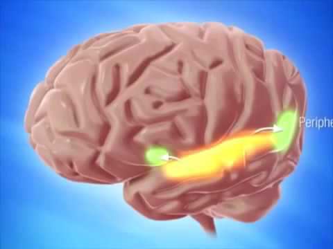 Метод TOMATIS (Томатис)