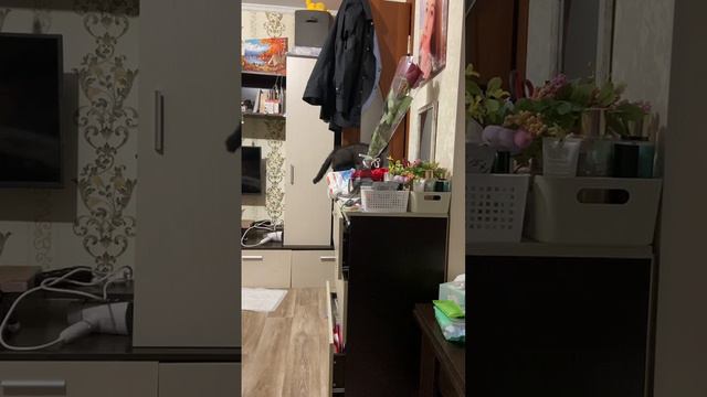 Юкки и розы