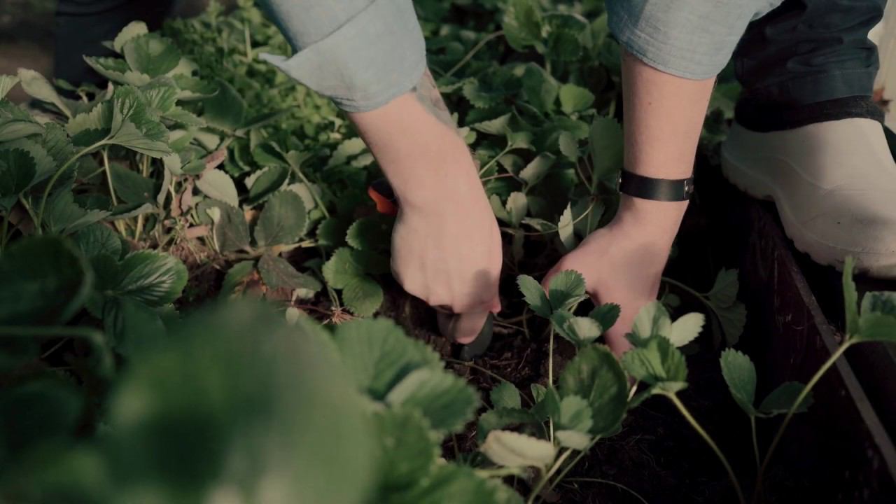 Вилка садовая Альт-Пласт