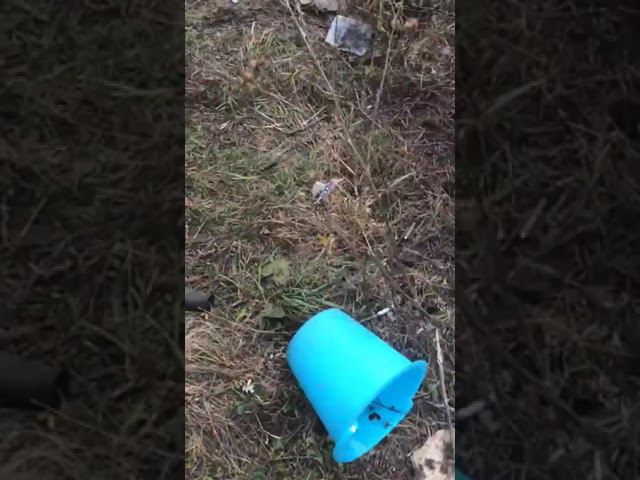 Обзор Daihatsu Mira