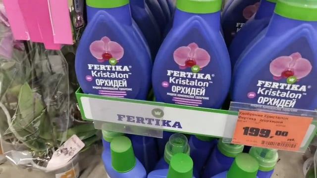 Обзор орхидей в магазине ОБИ в Москве 30.04