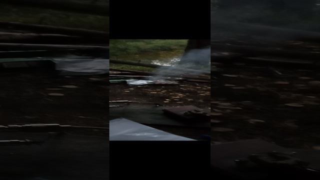 17 упаковка от яиц против комаров