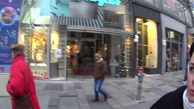 Гуляем по зимней Вене