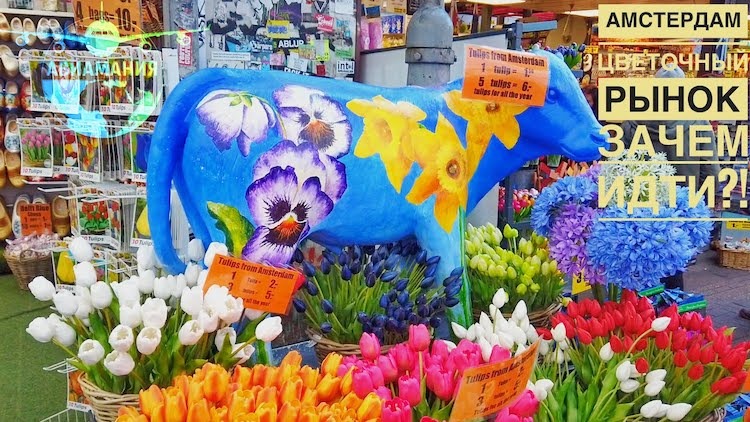 Цветочный рынок в Амстердаме | Магазин сыров Kaaskelder Henri Willig | #Авиамания Amsterdam