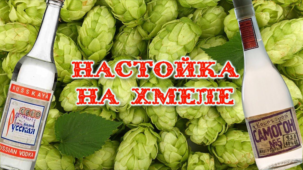 Настойка на хмеле.Что будет,если добавить хмель в самогон и в водку.Не рецепт!!!