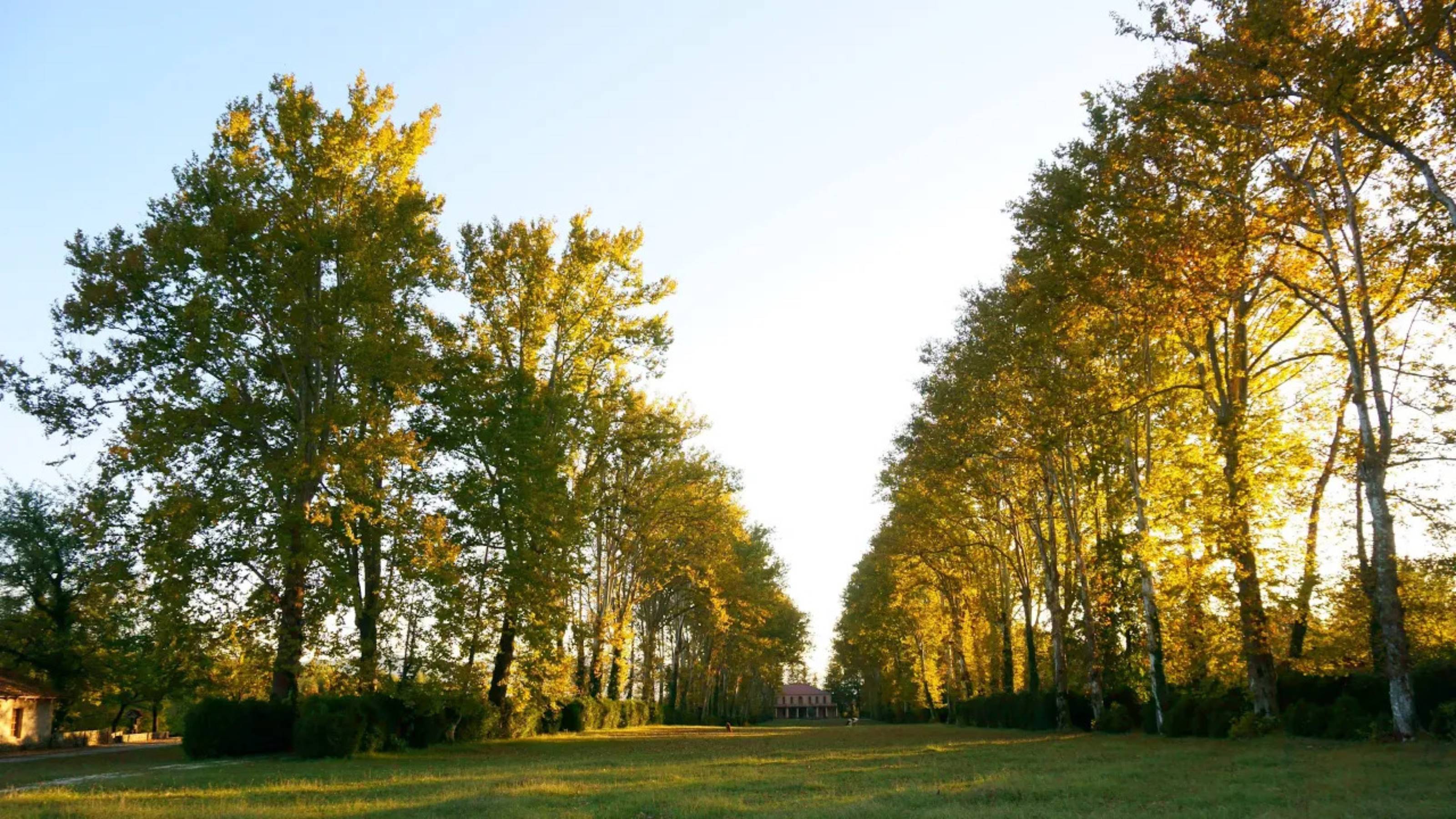 2019, октябрь, хождения по Западной Грузии