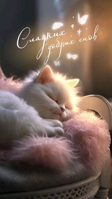 Хочу с тобой сейчас лежать,
По волосам водить руками.
Как трудно мысли удержать...