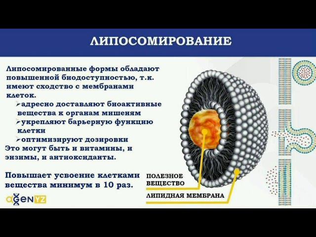 Липосомирование