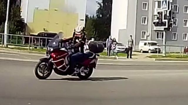 Хищник в Нижневартовске?