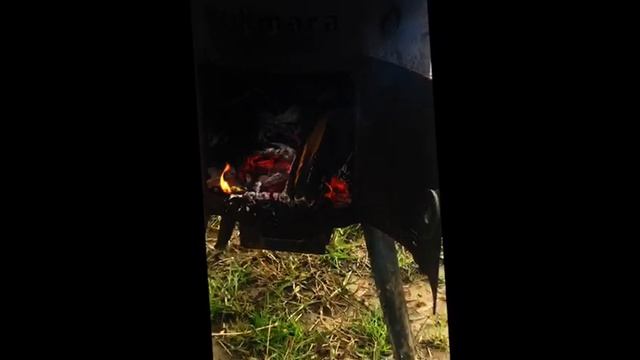 Американский булли / American bully /