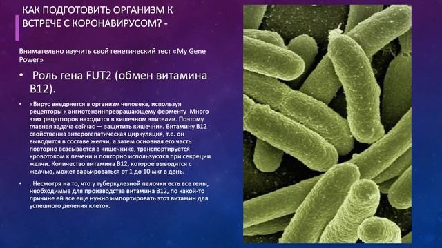 Защити от вируcов   коронавируса свою генетику.