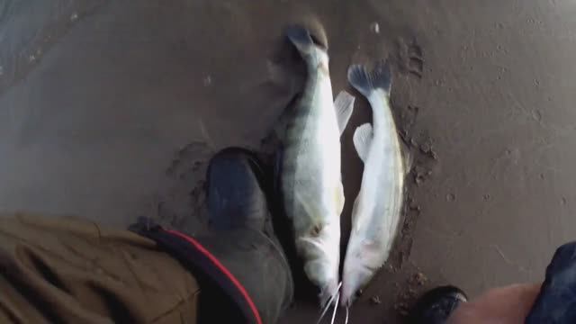 ОДИН НА ОСТРОВЕ  ПО СРЕДИ ОБИ!!