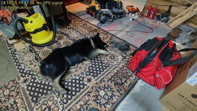 Барс и Боня тысячелетнее царство.. ?