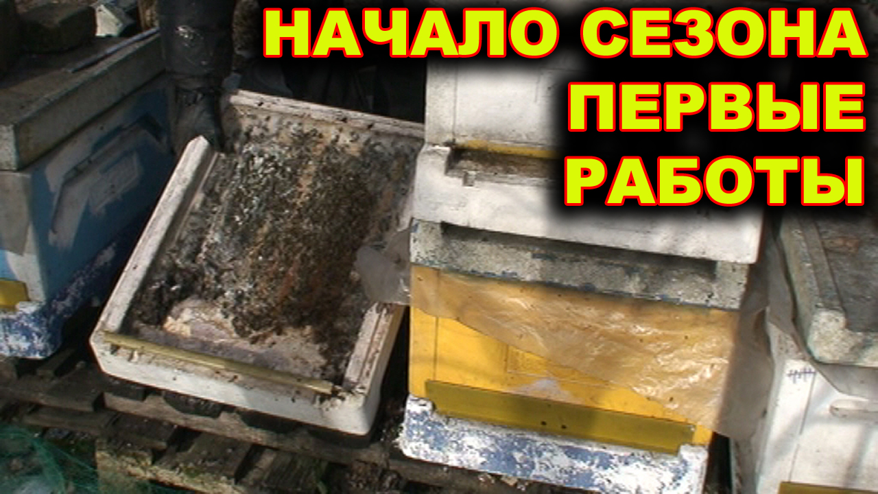 Начало сезона. Первые работы на пасеке.