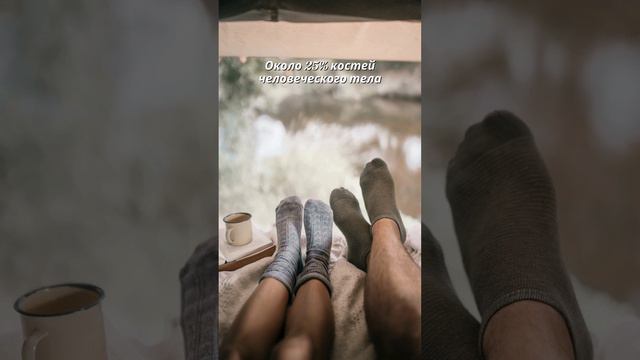 Факт про стопы человека 🦶