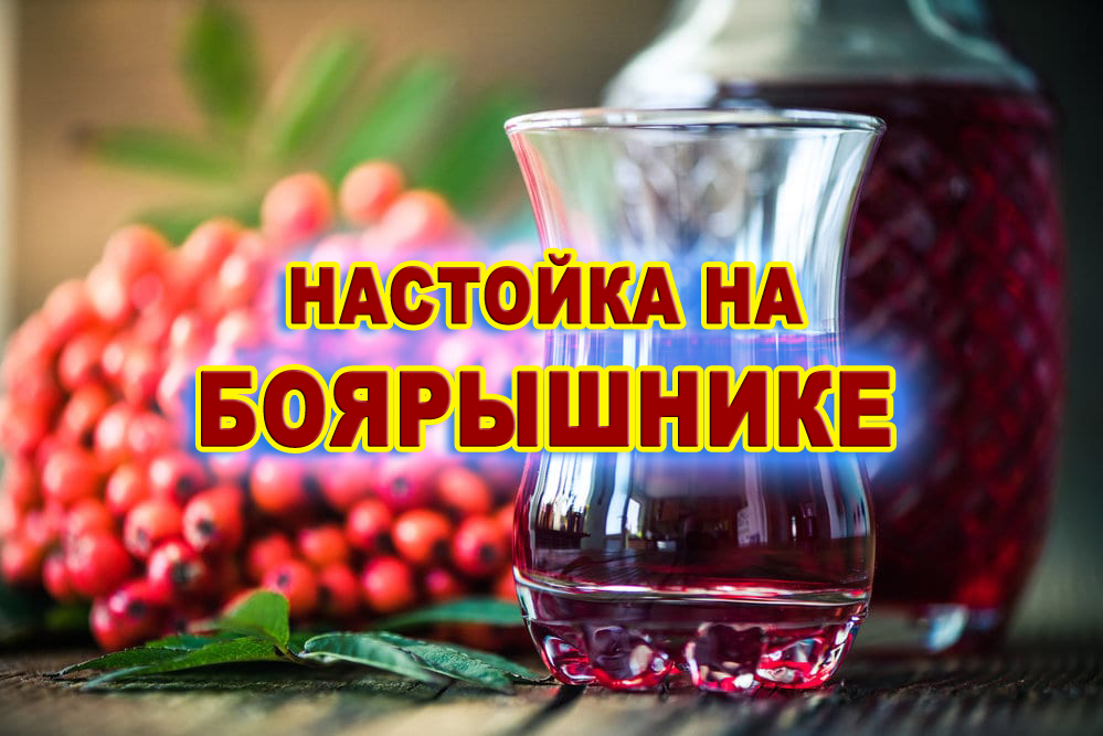 Рецепт лечебной настойки самогона на боярышнике