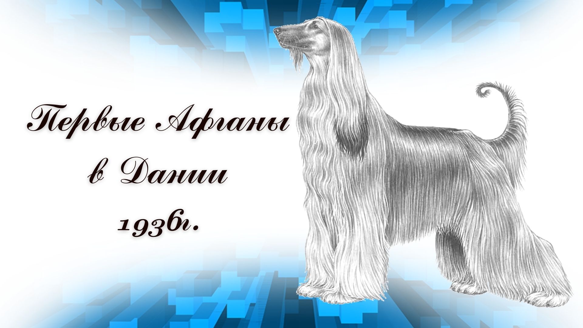 1936 Первые Афганы в Дании.