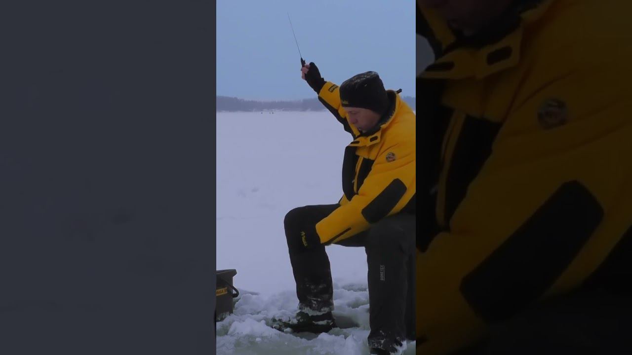 Кизомба рулит#Shorts