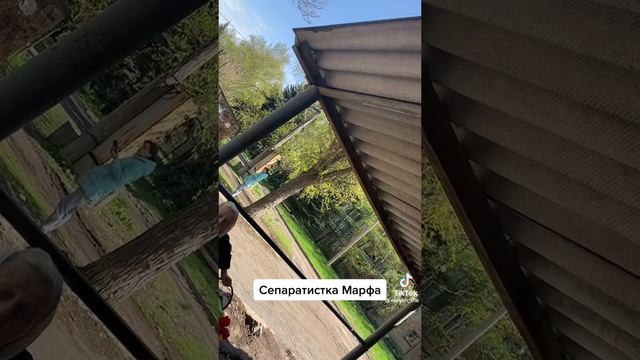 Киевская Русь была и будет! Ты запомнил это?