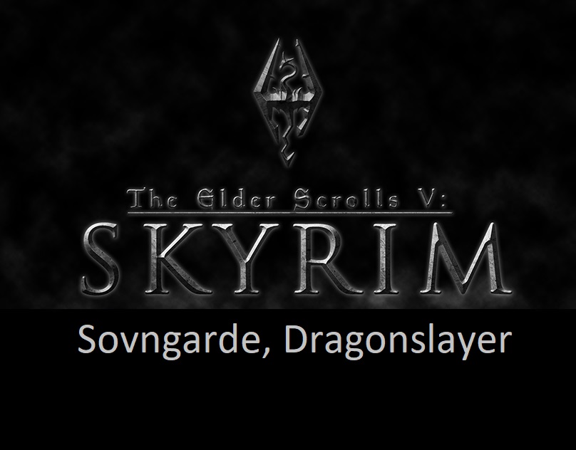 #15 Skyrim Dragonslayer