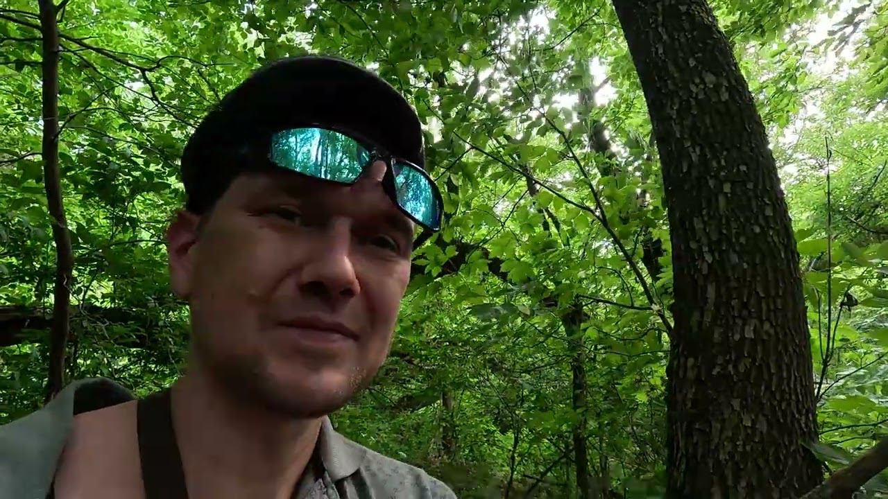 ОТец ищет грибы 2 июня.