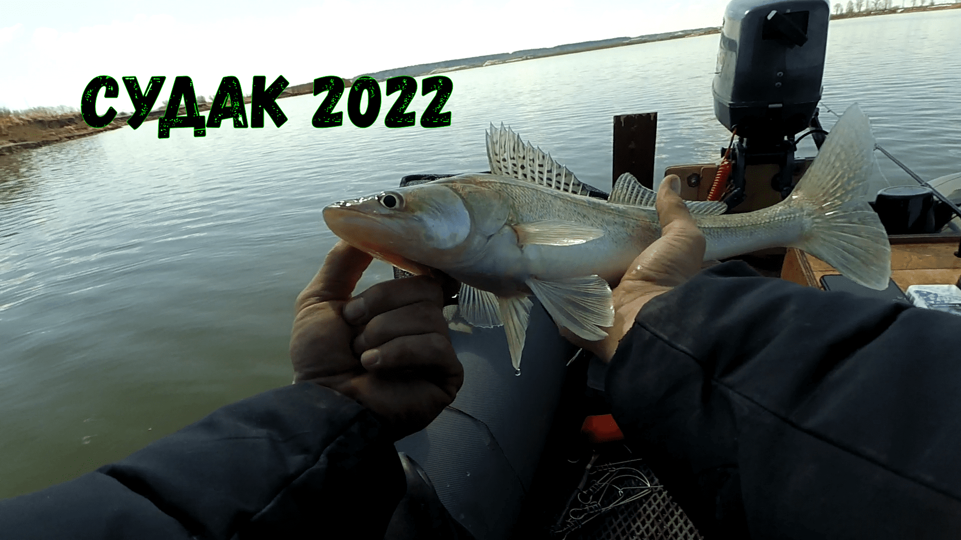Судак 2022