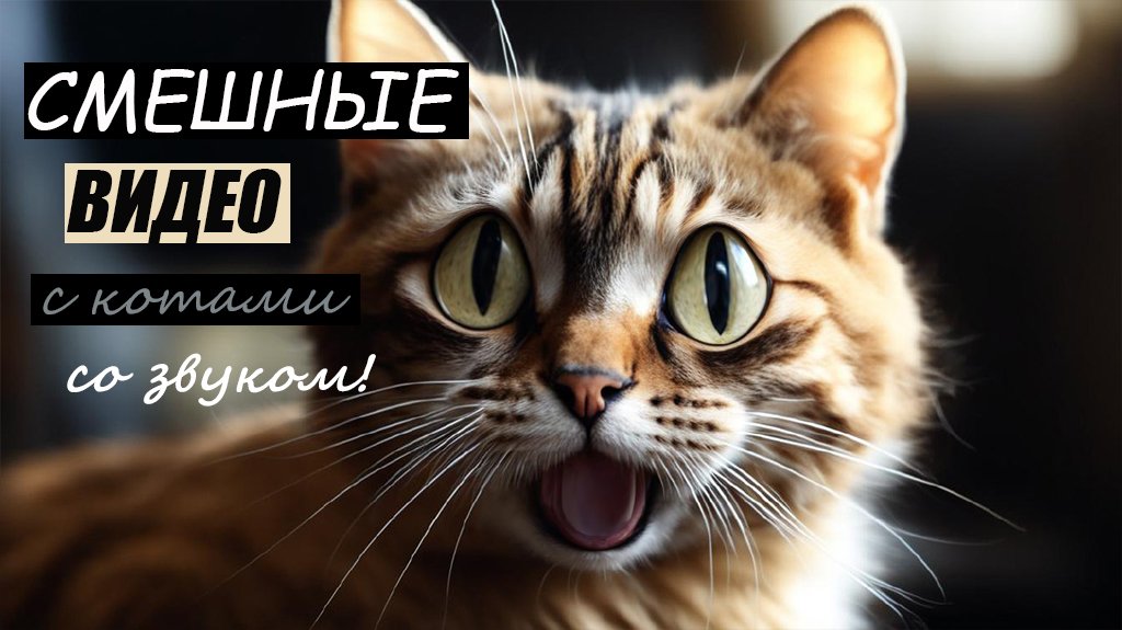 Попробуй сдержать смех! Самые смешные котики здесь