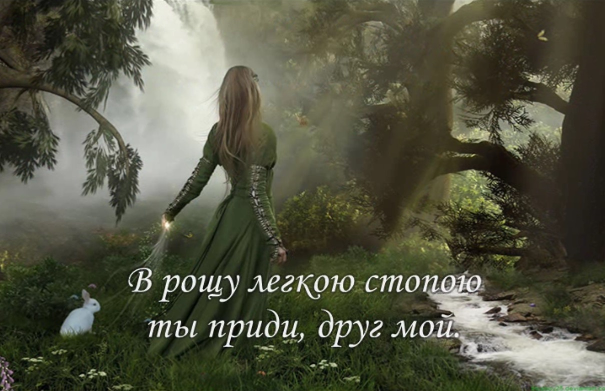 Ф.Шуберт - "Серенада", исп. Трио "Реликт"