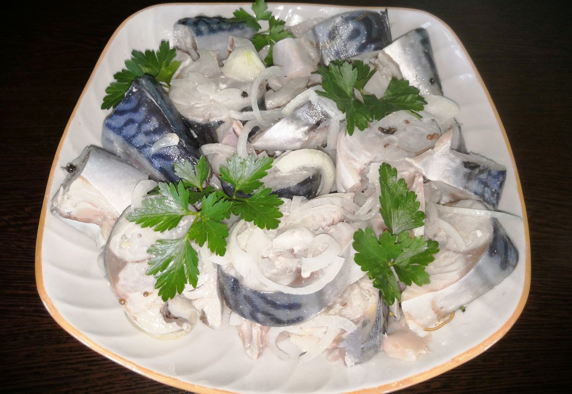 Скумбрия сугудай.