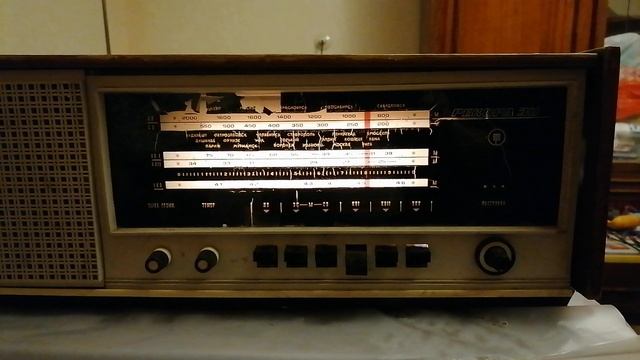 VID_20230228_record311