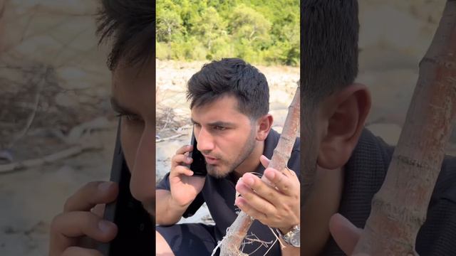 Без названия