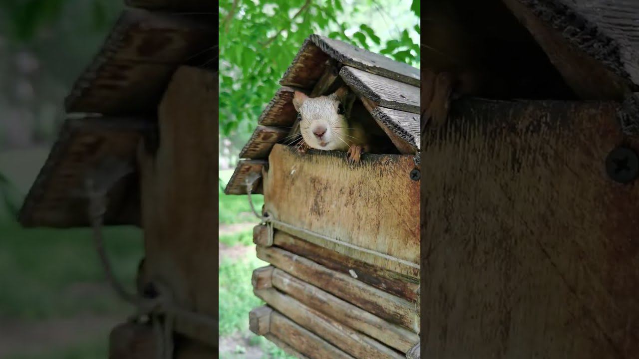 14 июля 2023 г.