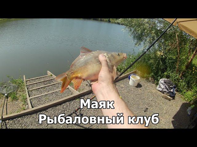 Рыбалка в Никольском. Клуб трофейной рыбалки "Маяк"