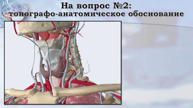 Ситуационная задача на тему: "Шея"