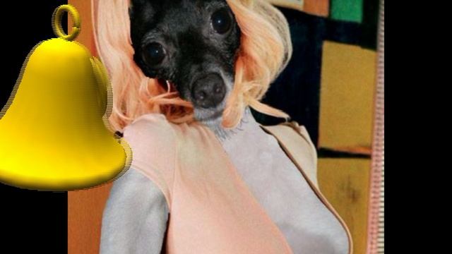 Укрощение строптивой