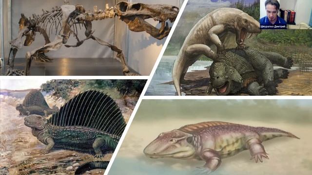 'Пушкин центр, Шмуратко Д.В., 28.11.2020'