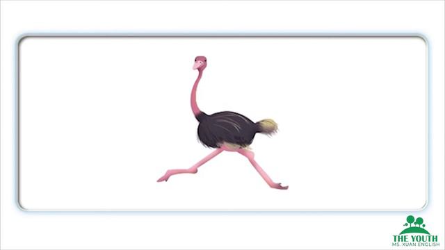 Oxford Phonics 1 Letter O