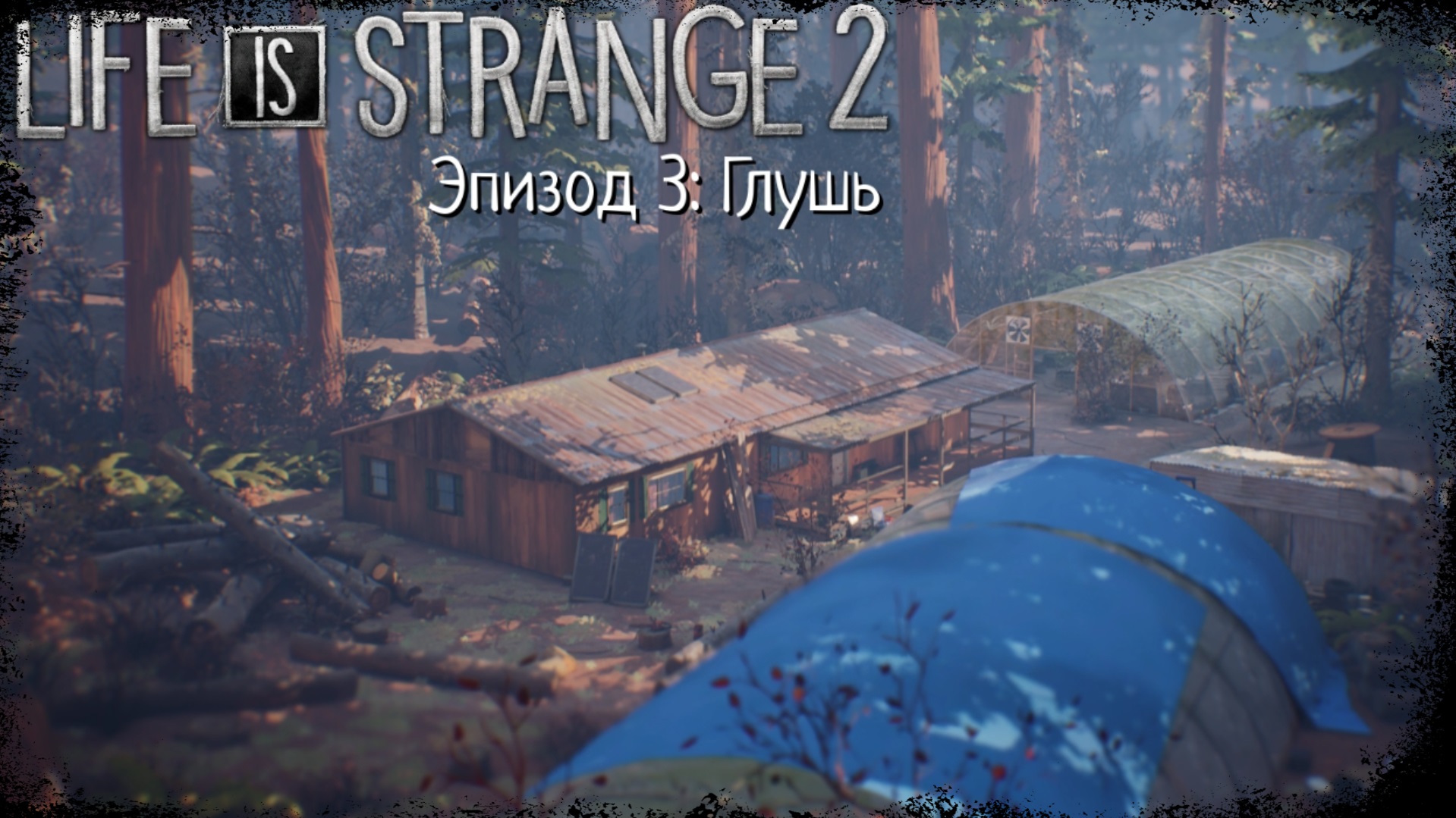 ЛЕСНЫЕ ЖИТЕЛИ. LIFE IS STRANGE 2 ► ЧАСТЬ 8