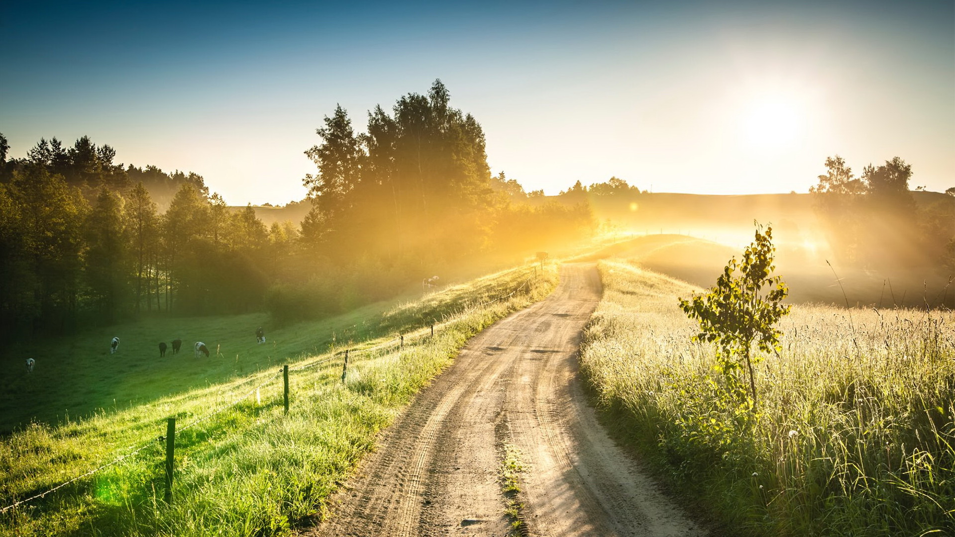 Вот блаженство ранью заревою. Даниил Андреев