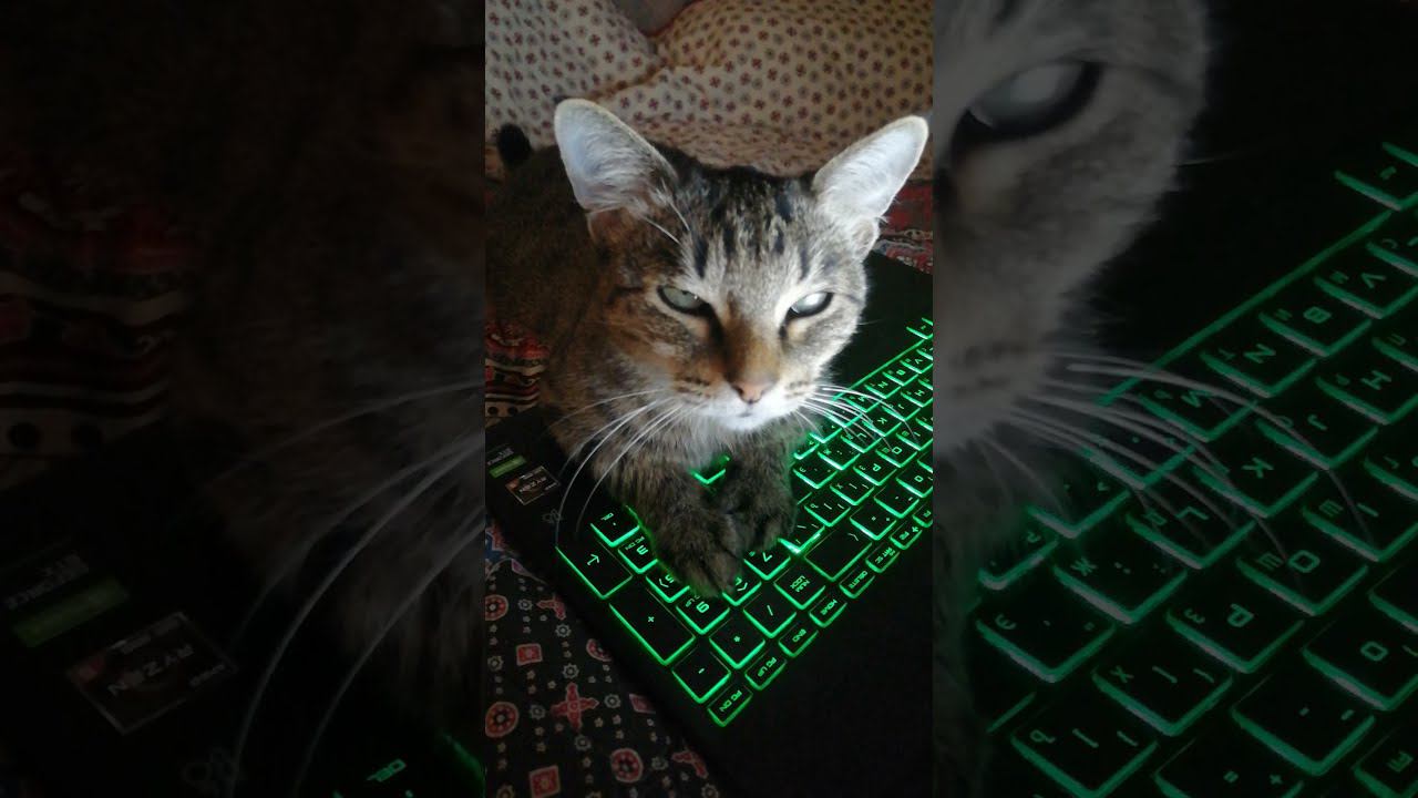 Сама буду работать