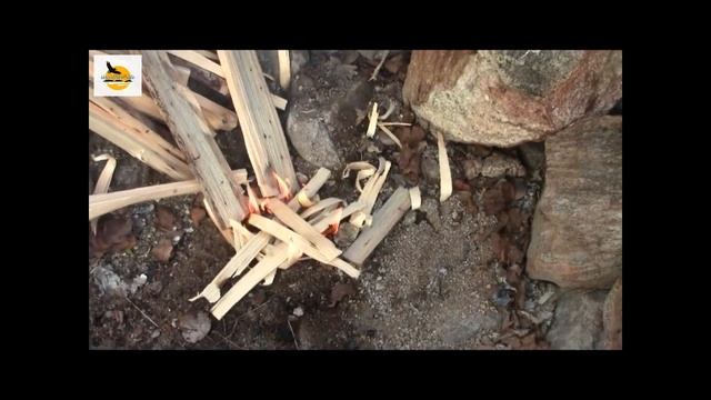 Костер. Экономия дров.(Заметки инспектора Павлова)