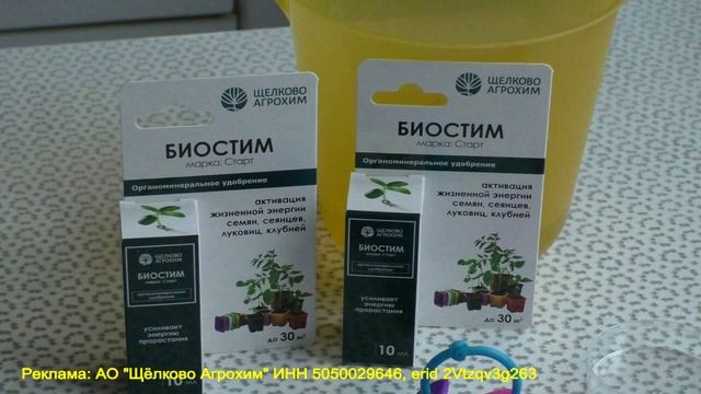 Хороший способ замочить семена перца