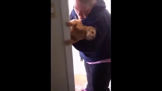 ?Лучшие смешные ПРИКОЛЫ ? #6