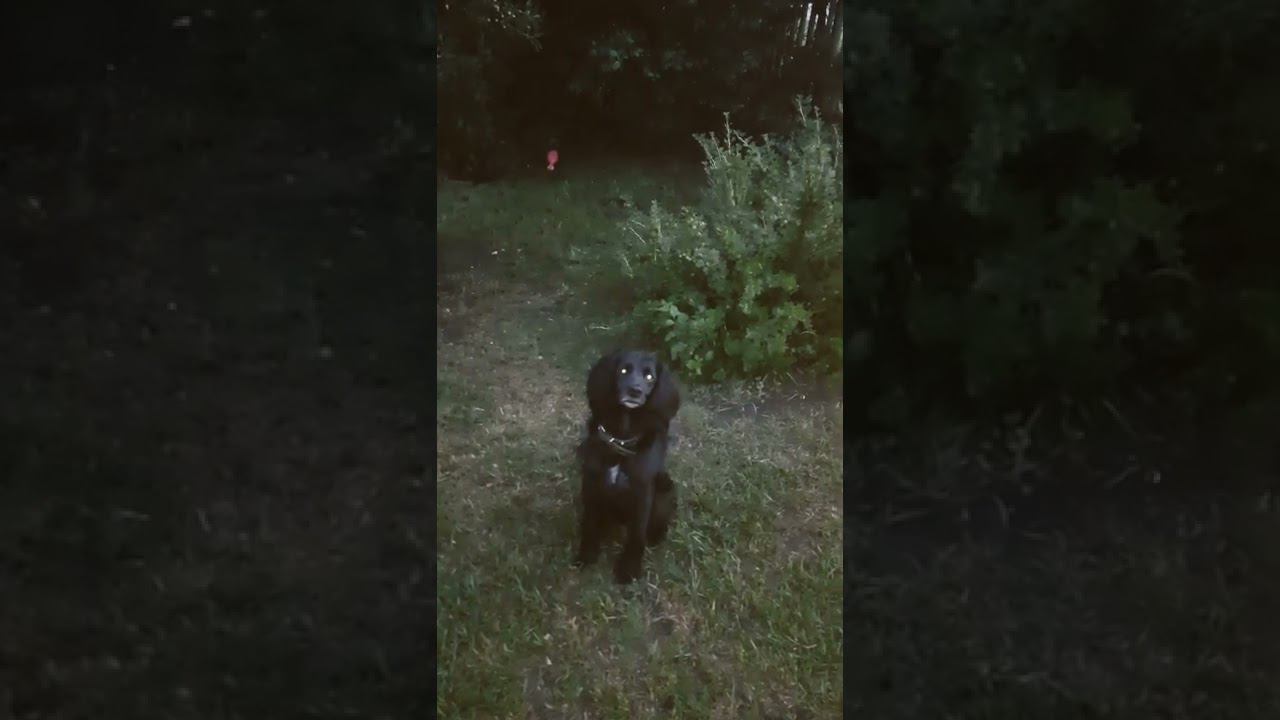 Ловец восьмидесятого уровня)))