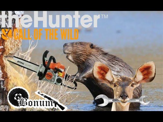 В theHunter Call of the Wild настраиваю обс